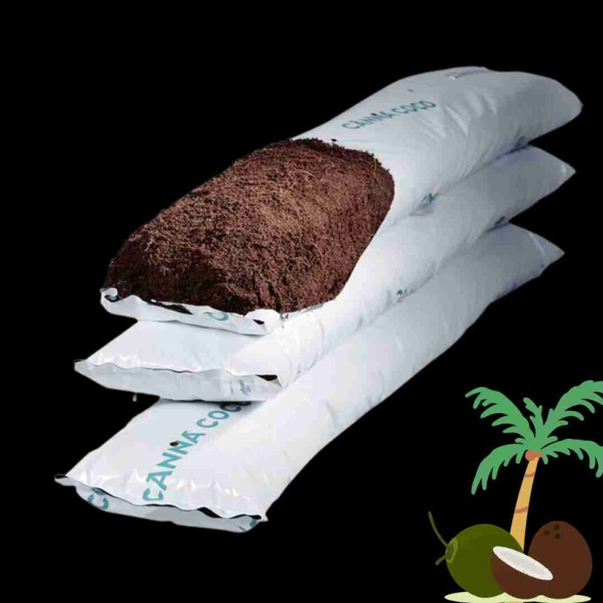 Canna Coco Slab für gesunde Wurzeln - jetzt kaufen! 🏝️